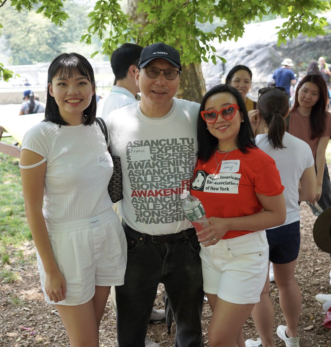 Young Lawyers Committee Presents: AABANY’s Annual Central Park Picnic - WE Blog @ AABANY